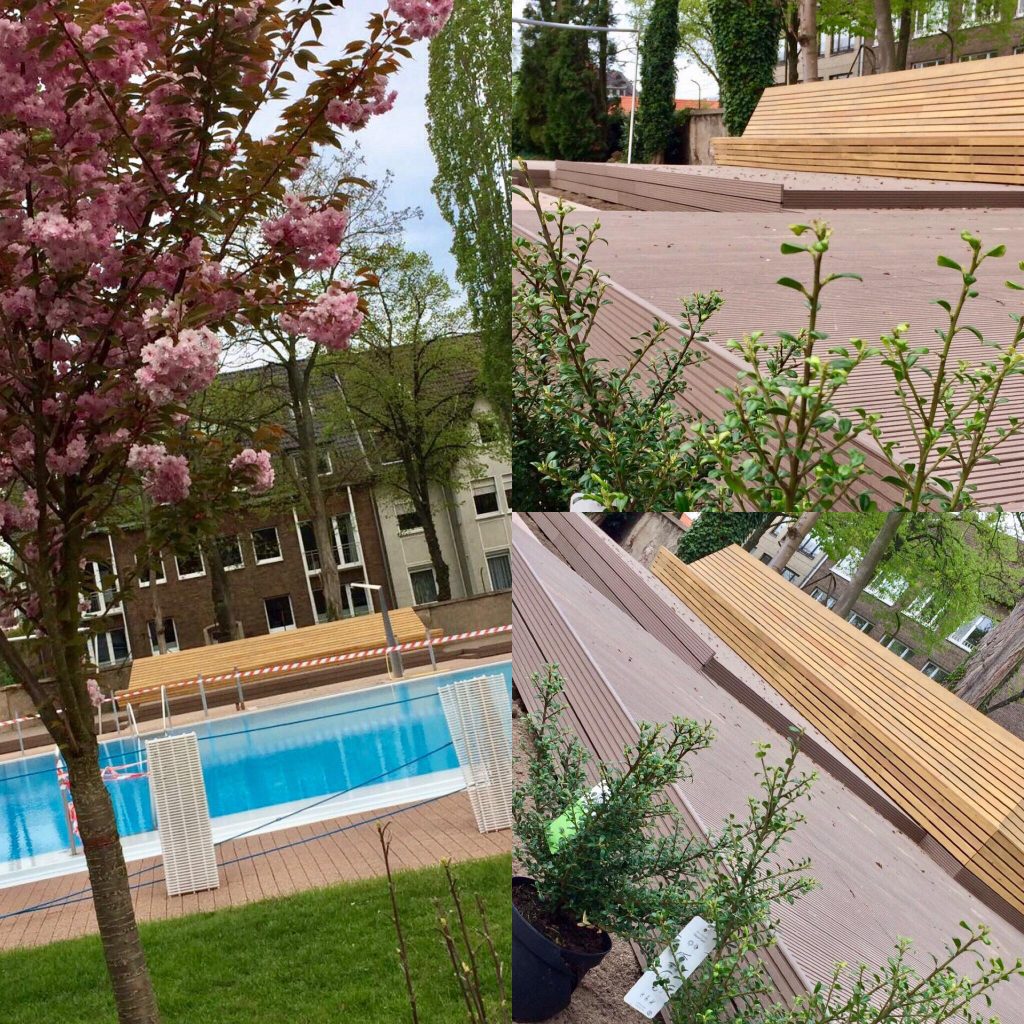 Freibad Kaiserswerth - Flossen weg e.V. - Schwimmbad Düsseldorf Nord